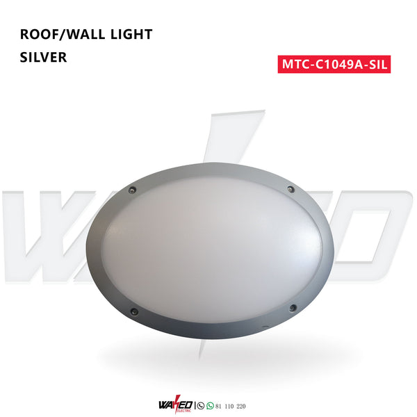 Roof/Wall Light – Waked Electric