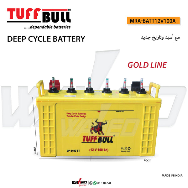 BATTERY-100Ah-TUFFBULL - Gold Line – Waked Electric