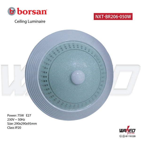 Ceiling Luminaire – Waked Electric
